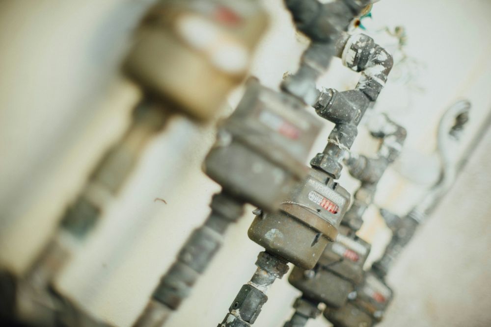 Fakta om orm en grundlig översikt