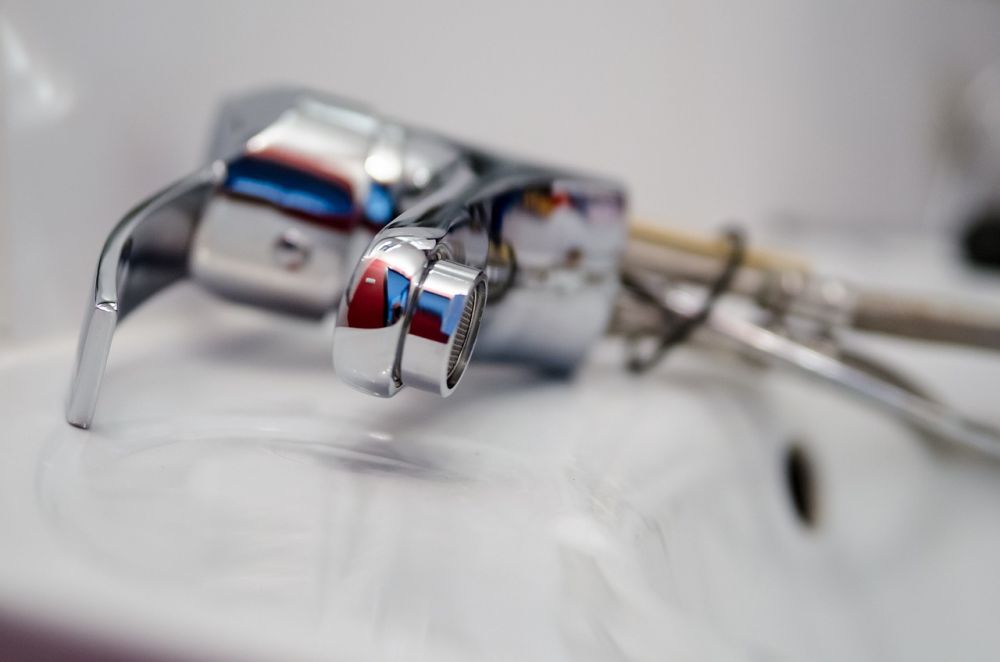 Fakta om orm en grundlig översikt